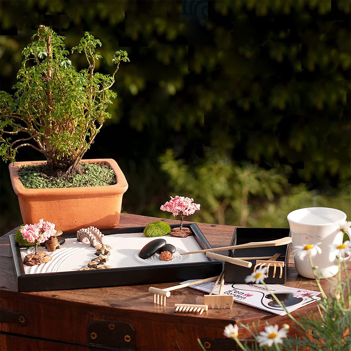 Produk Minggu Ini: Kit Taman Zen Mini | Beren Floor